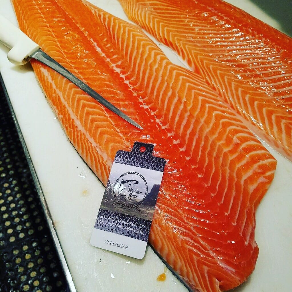 Wester Ross Salmon - Wheeler Seafood